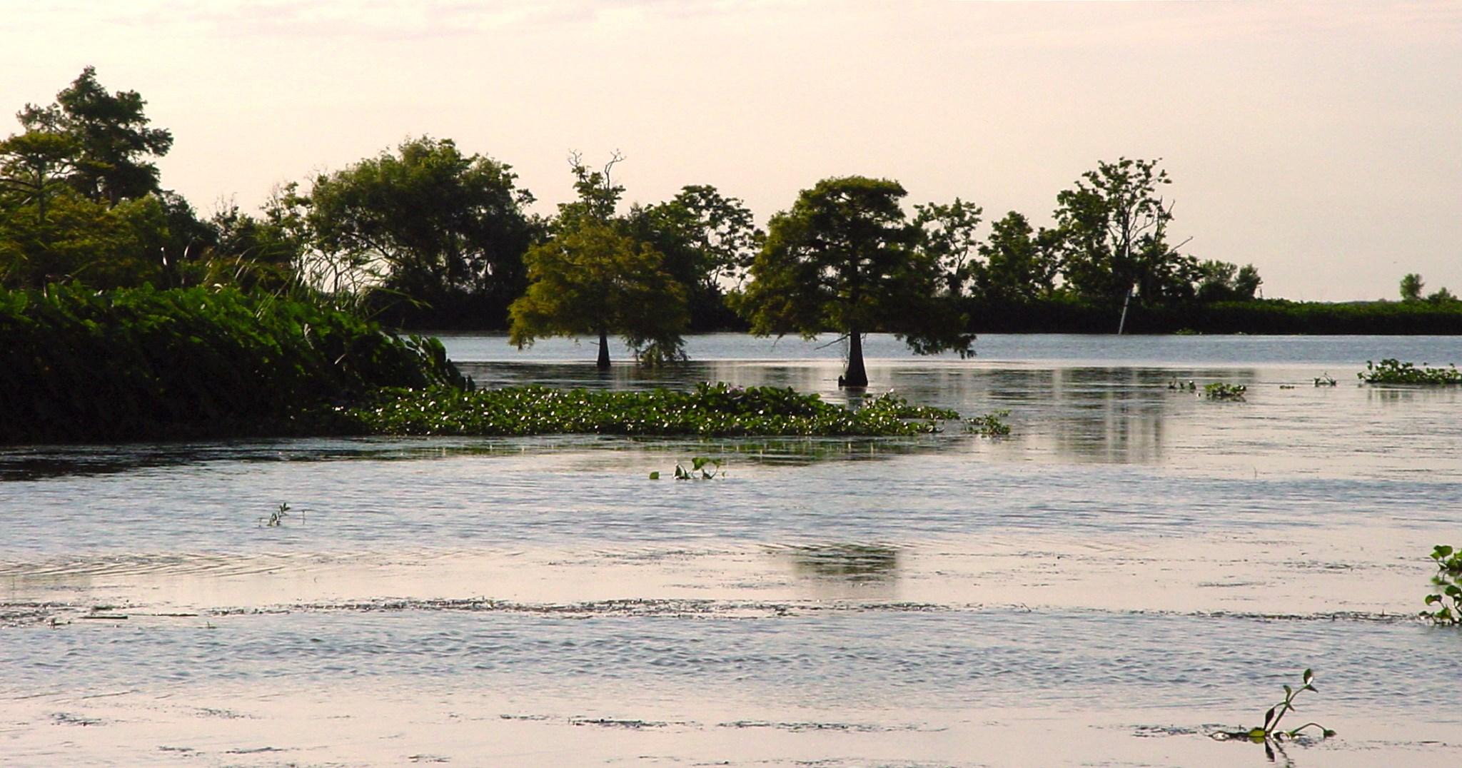 Photo Gallery – Natchitoches Tribe of Louisiana
